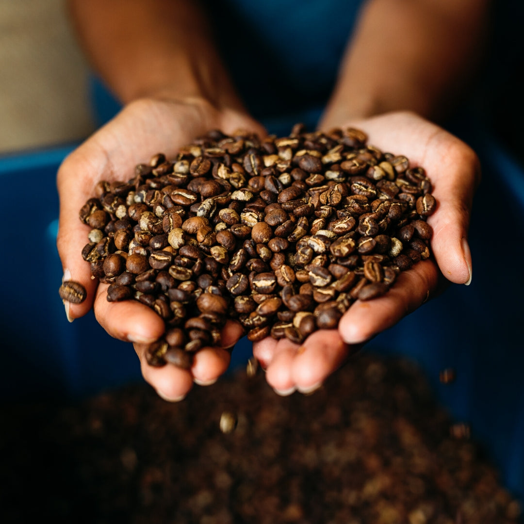 What is Wet Washed Coffee?