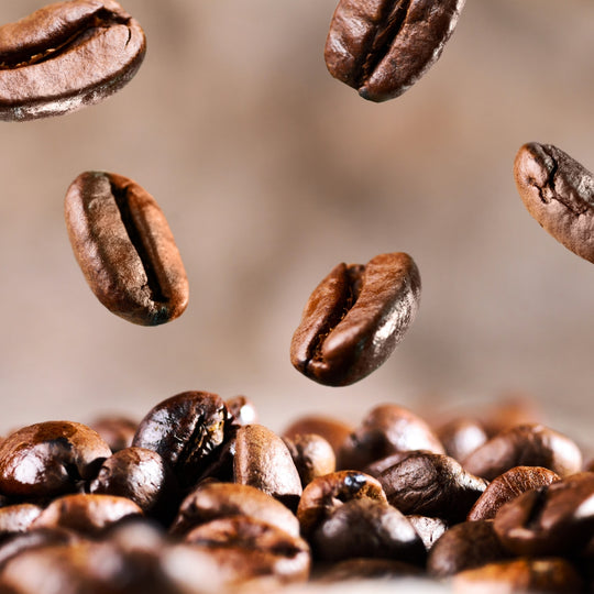 Coffeepedia Blog - Everything You Need to Know About Coffee
