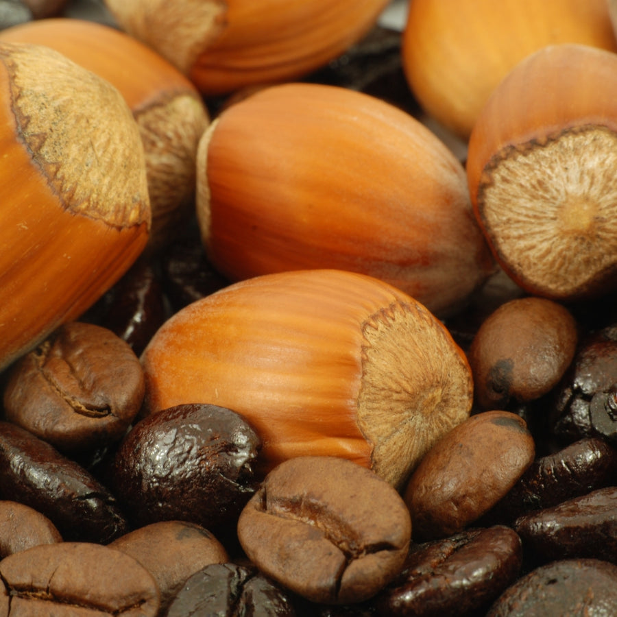 Coffeepedia Blog - Everything You Need to Know About Coffee