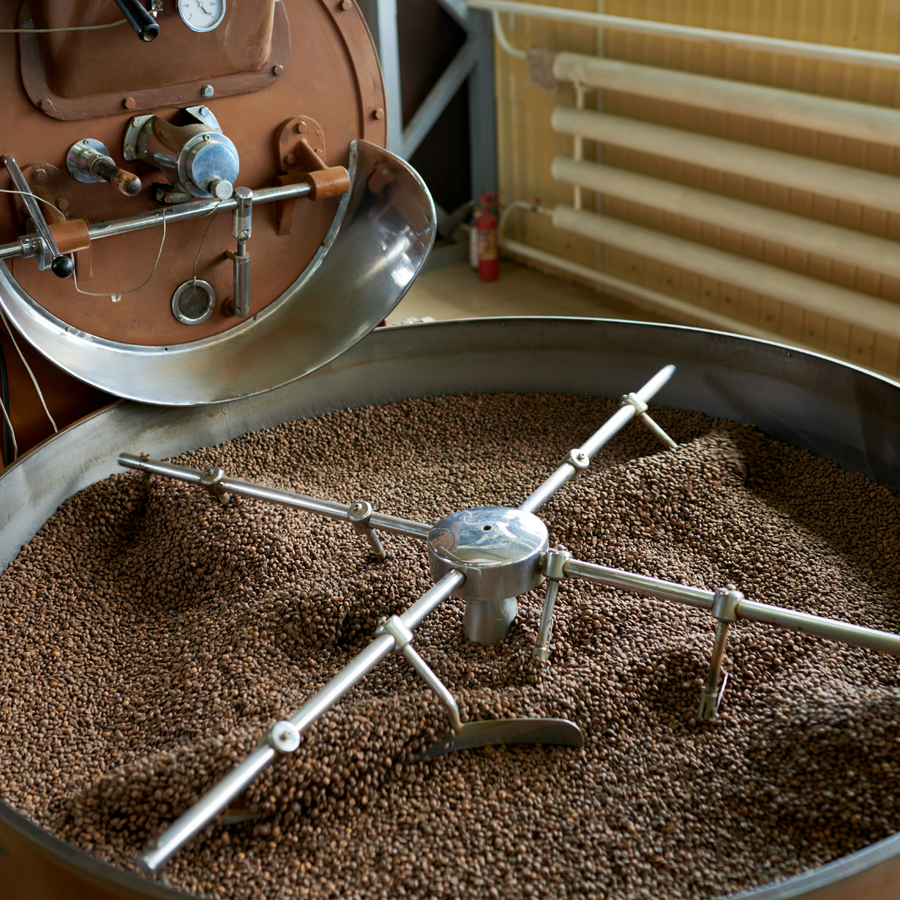 Coffeepedia Blog - Everything You Need to Know About Coffee